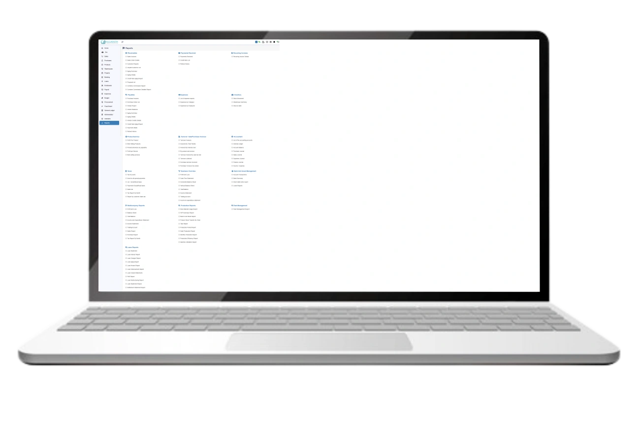 Reports User Guide in Accounting Software